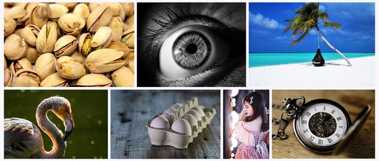 28 of the Best Sites That Offer Free Stock Images | Primoprint Blog