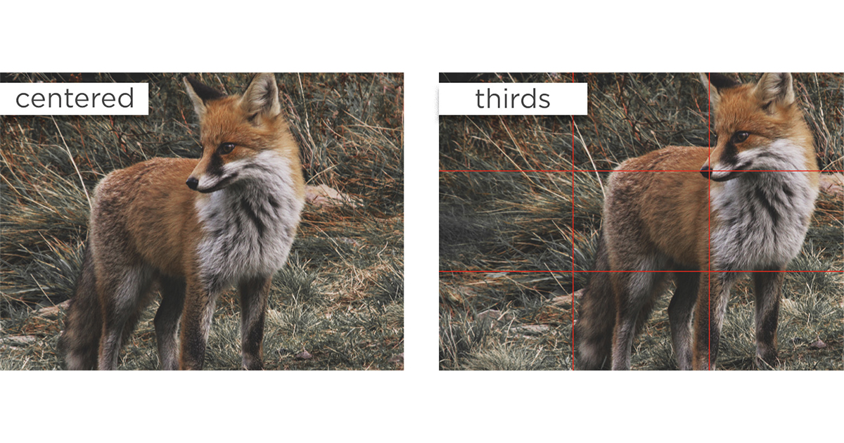 How to Use The Rule of Thirds for Your Print Design | Primoprint Blog