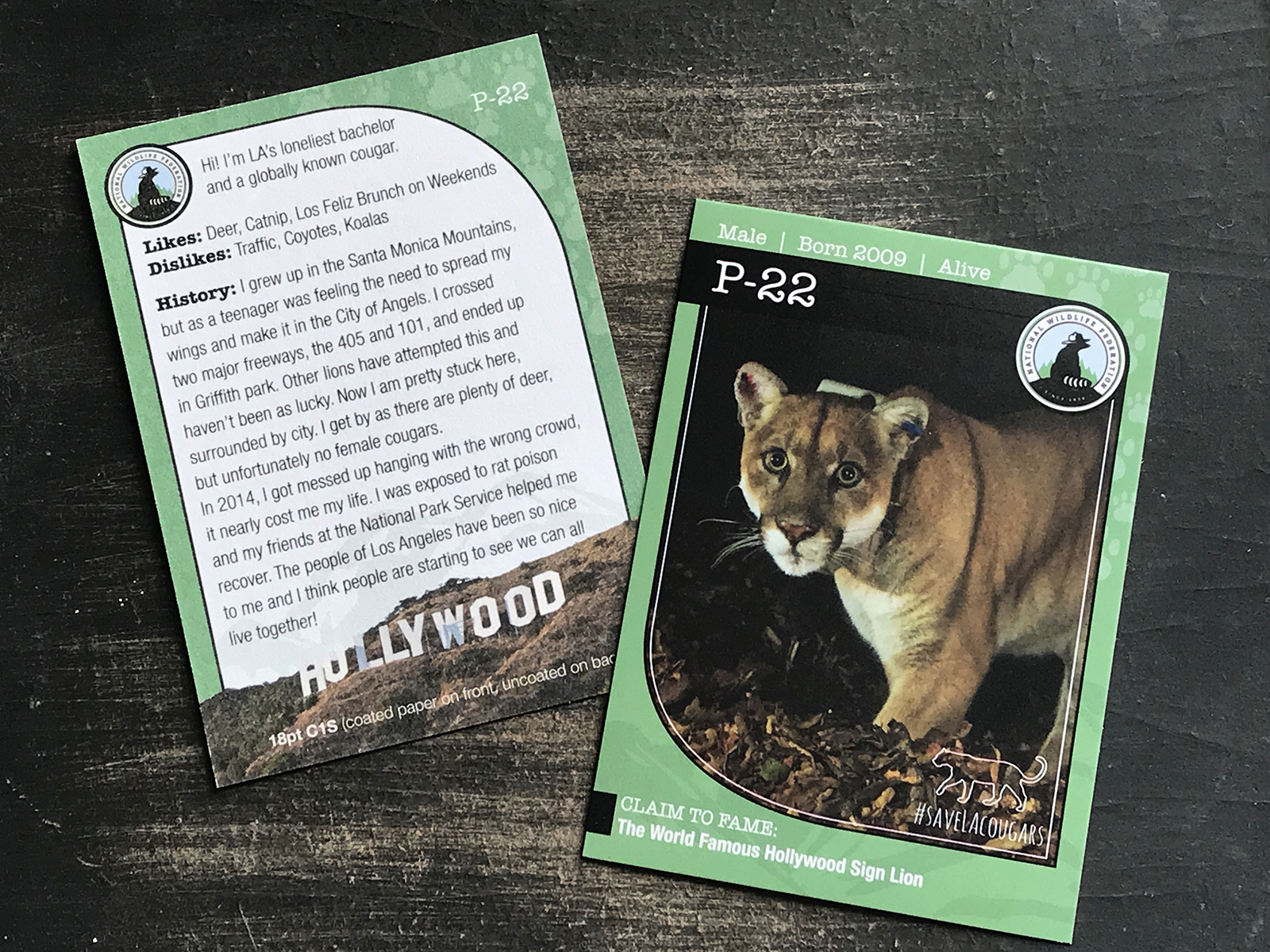 Trading Cards Photo Gallery | Primoprint